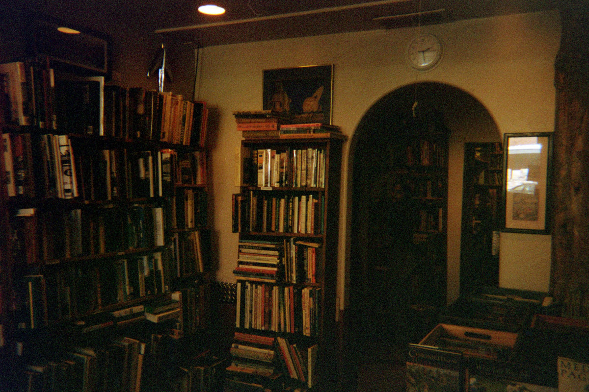 invisible tigers | angie asadi | ang a