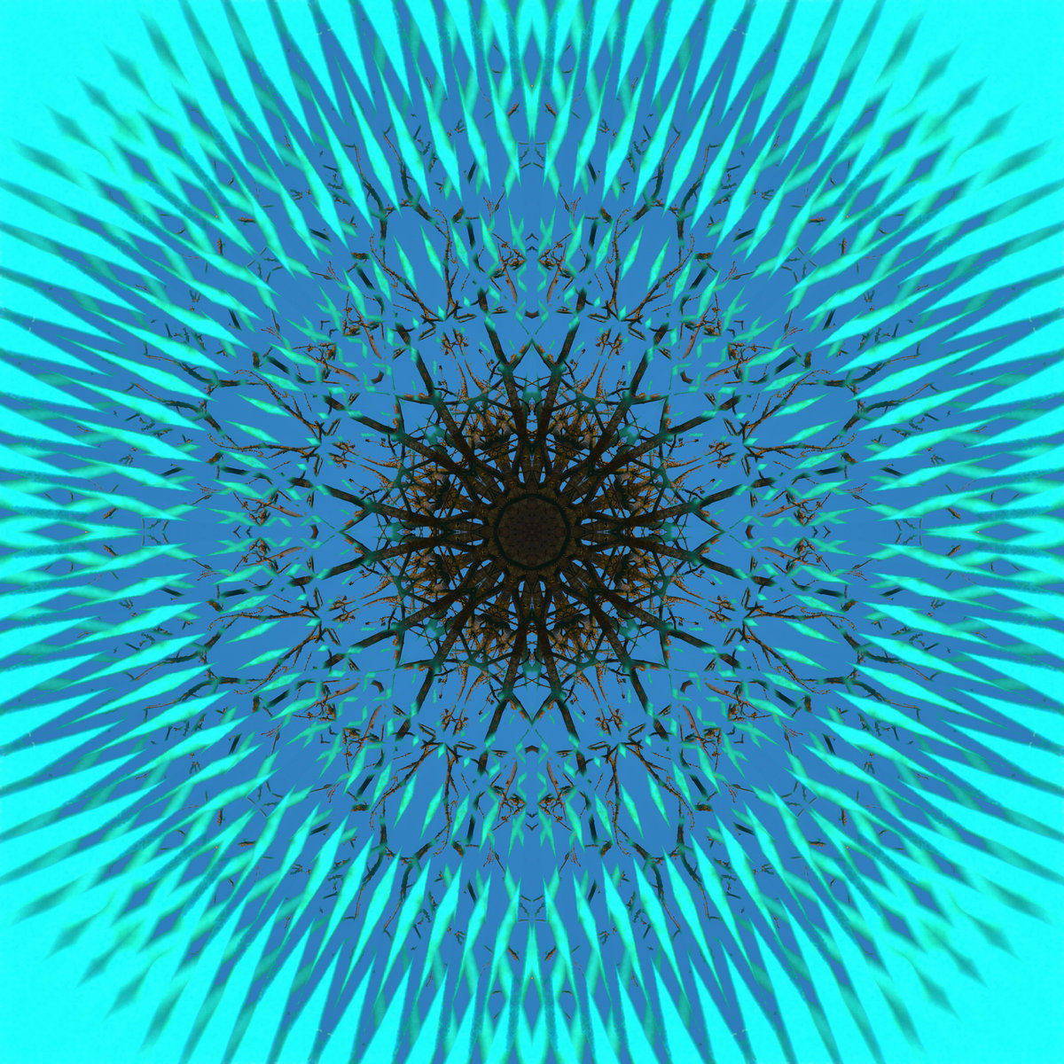 Ascending Through Quiet Fire | DTime