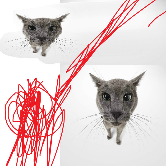 cat amalgamation | cat adding | cat additive