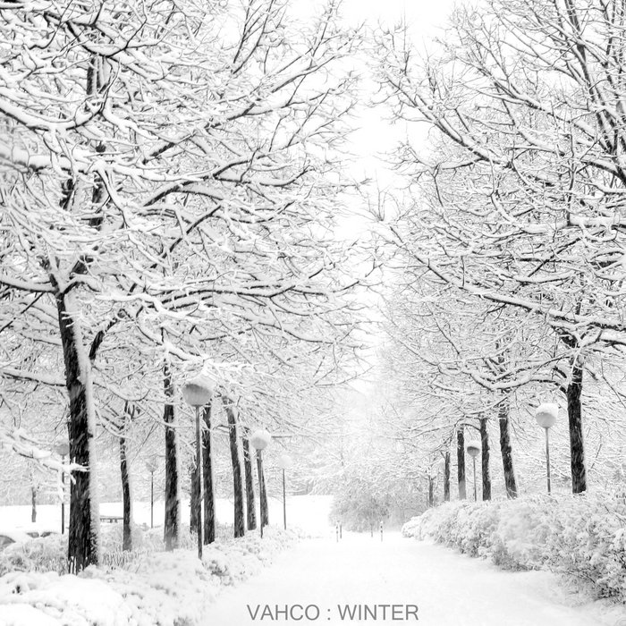 WINTER | VAHCO