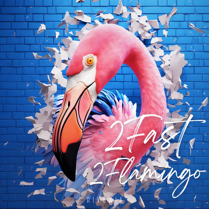 2Fast 2Flamingo (ピンクダック) | RIVONIA