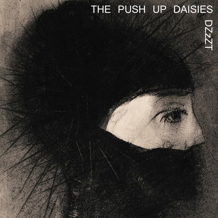 Dzzzt | THE PUSH UP DAISIES