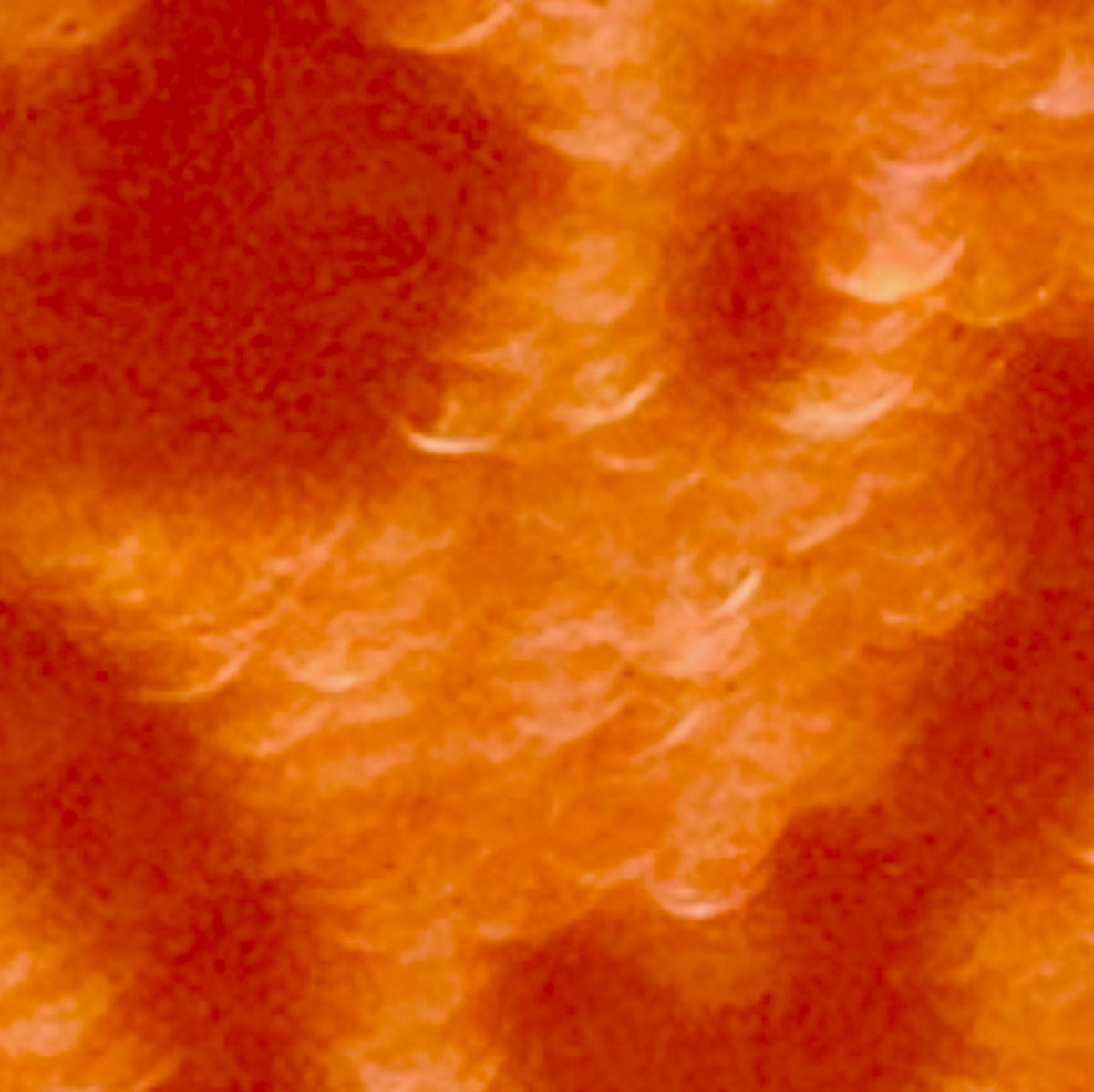 The Brutality of Sniffing Glue Pt. 1 | Matt McKenzie and Jacob Audrey ...