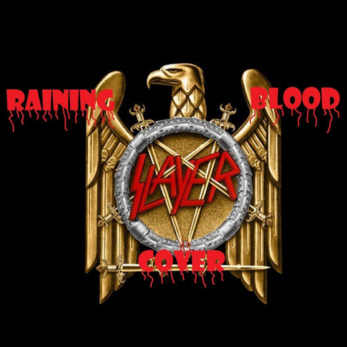 Raining Blood (Slayer Cover) | ARSAMES