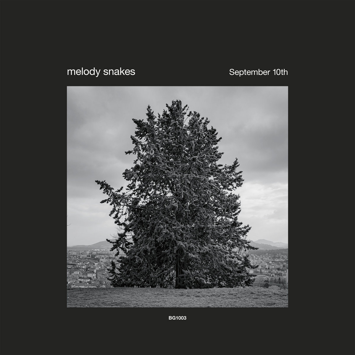 September 10th | melody snakes | Blasted Gorse