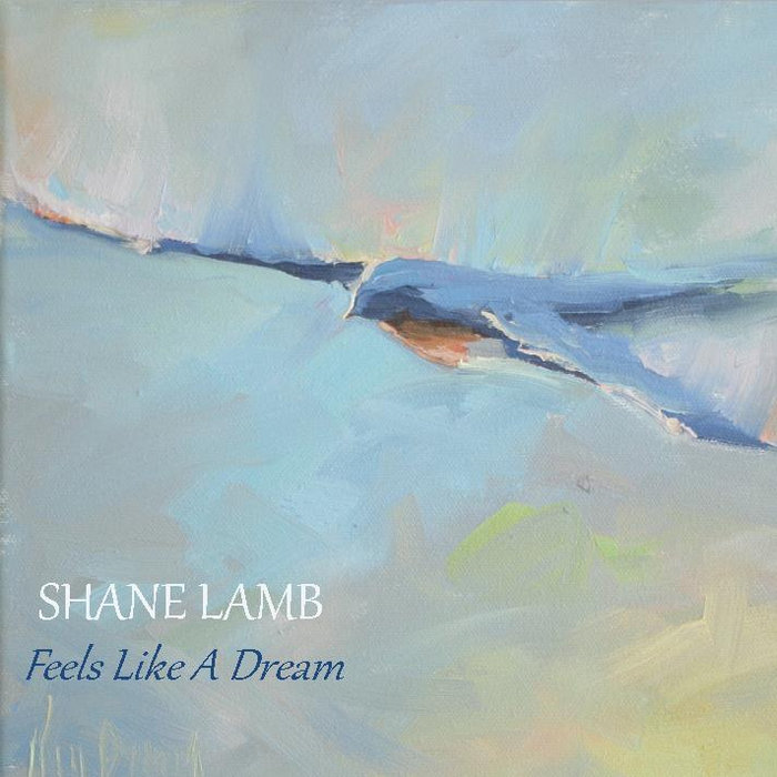 Feels Like A Dream | Shane Lamb | shane lamb
