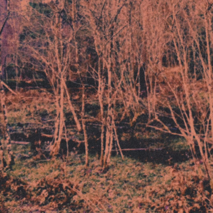 Onisme // Eliante | Onisme, Eliante | Eliante