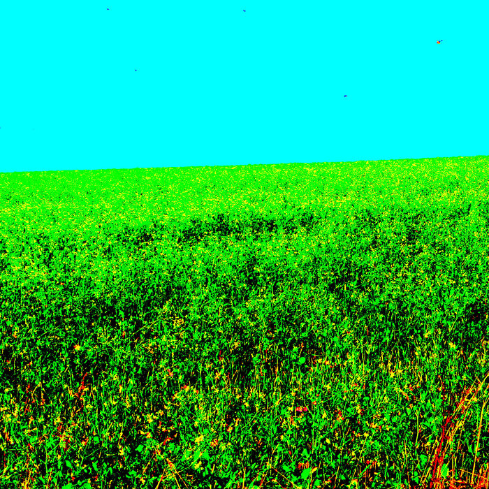 model nature | katharine eastman