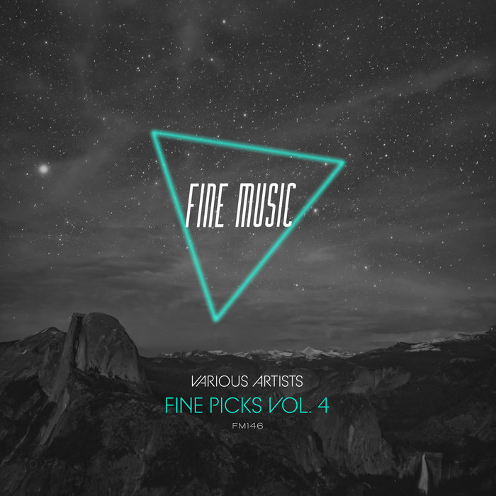Fine Picks Vol. 4 | Various Artists | Fine Music