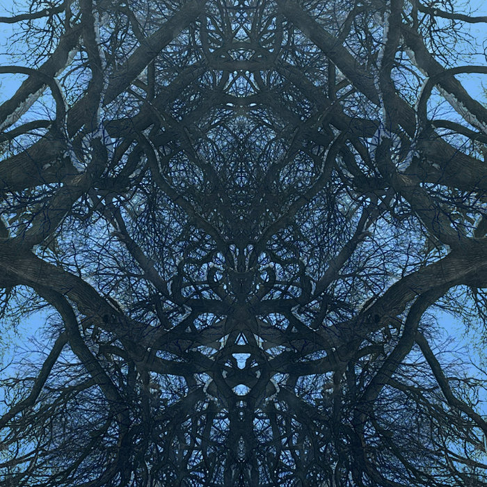 Shadow Integration | t r e e // n a t u r e