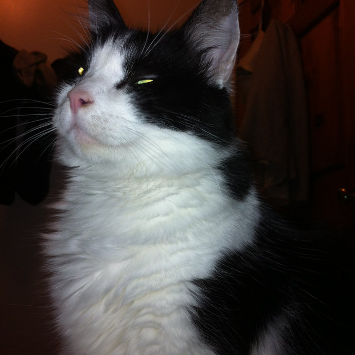 isolated showers | veverzay