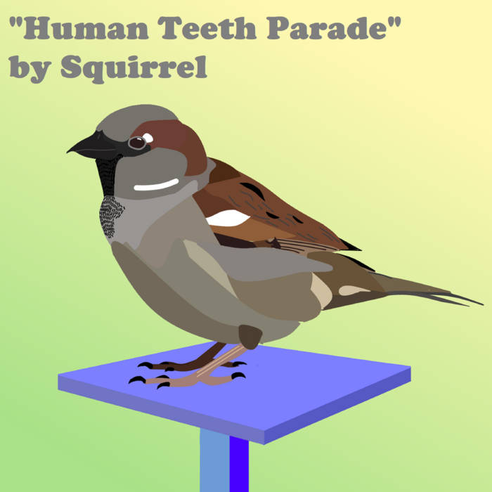 Squirrel Teeth Human
