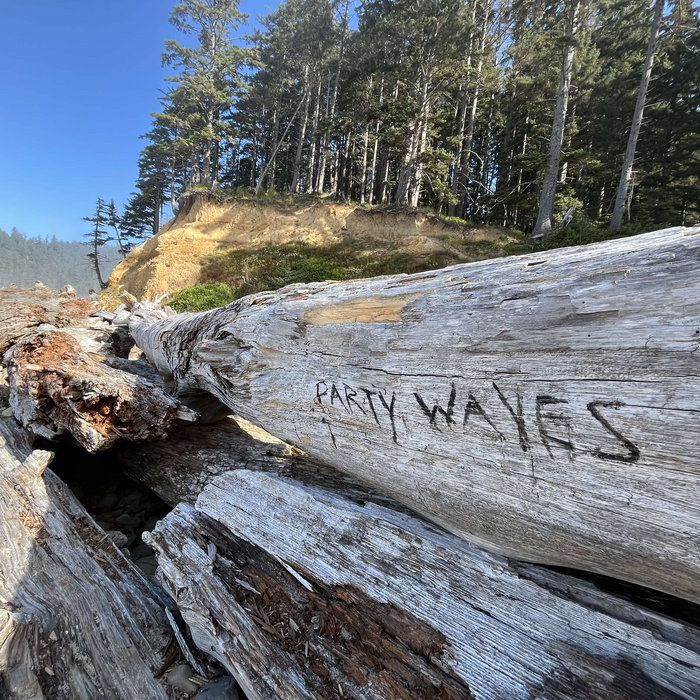 Party Waves | Party Waves