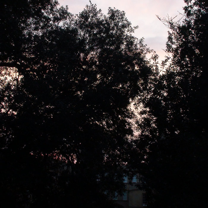 Just Another Day | Joseph Cefalu