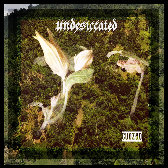 Cudzoo | Undesiccated