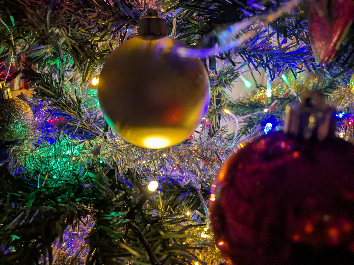 That's Not Christmas | Stay Out Forever. | Stay Out Forever