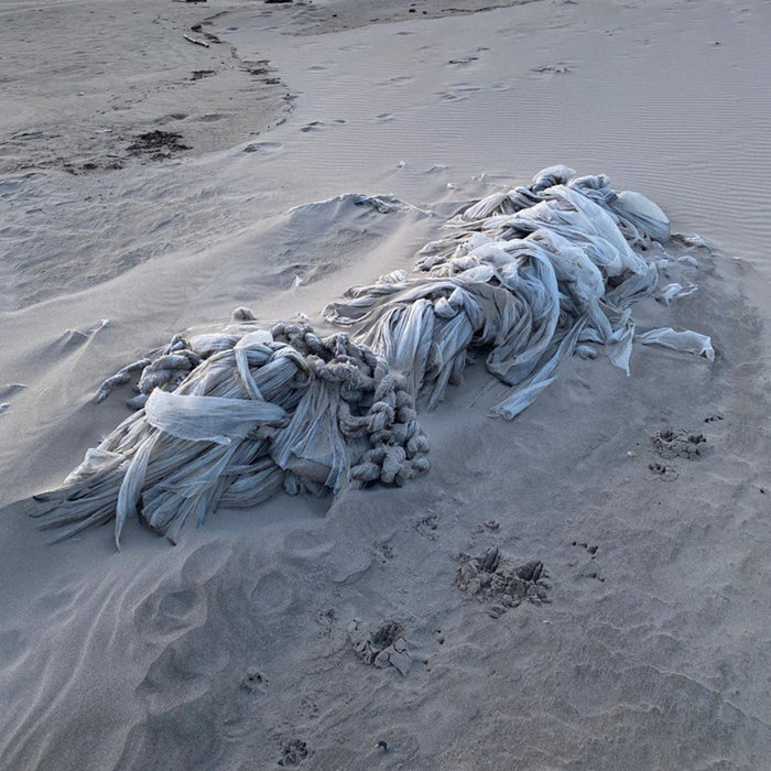 REINCARNATA | WULFFLUW XCIV