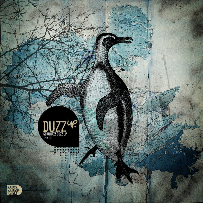 DuzzUp, Vol. 10 | Duzz Down San