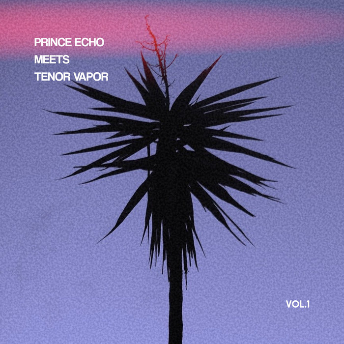 Prince Echo meets Tenor Vapor vol. 1 | Prince Echo, Tenor Vapor ...