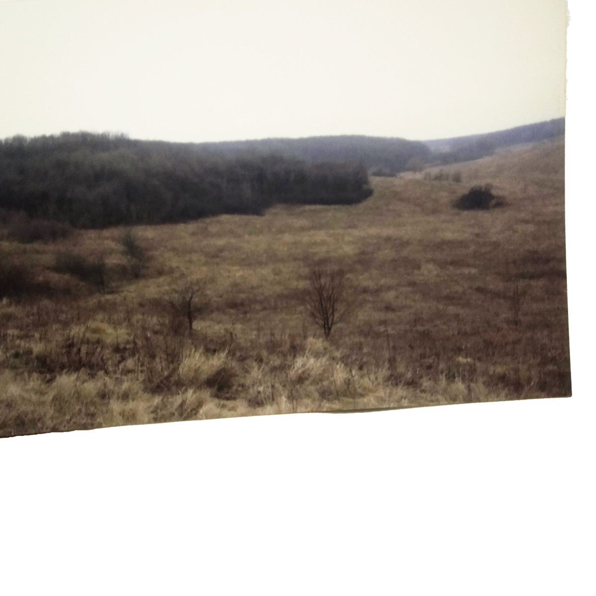 Better Times (Clean Version) | Dirtbag Loris