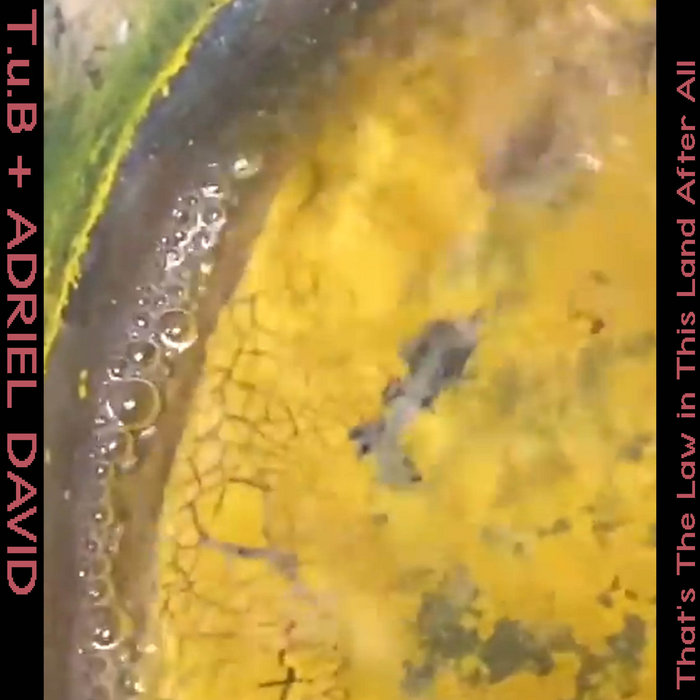 That's The Law In This Land After All | T.u.B. & Adriel David | KRUT