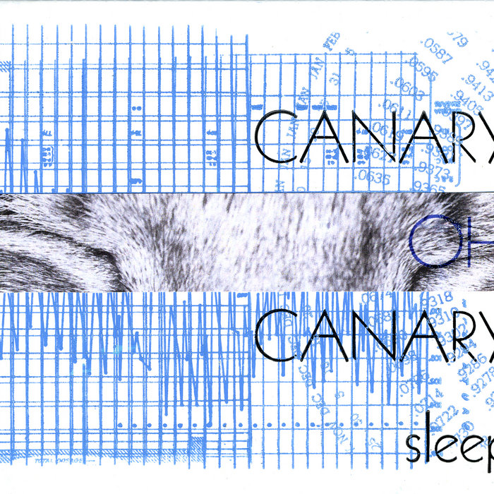 Sleep | Canary oh Canary