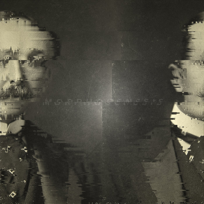 Morphogenesis | Jonas Niemann