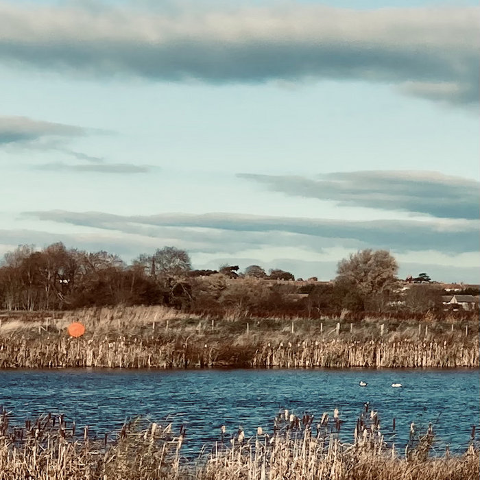 Revive | Daniel Birch