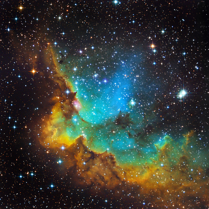 Screamers & Streamers | Riot Punch