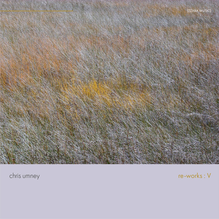 re-works : V | chris umney | Tzara Music