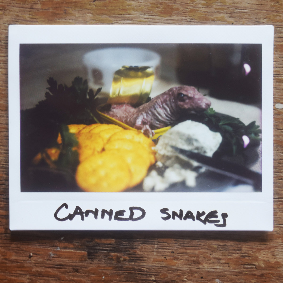 choppe shoppe b/w spleen | CANNED SNAKES