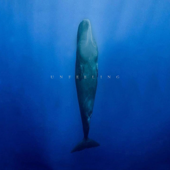 VERTICAL SLEEP | UNFEELING