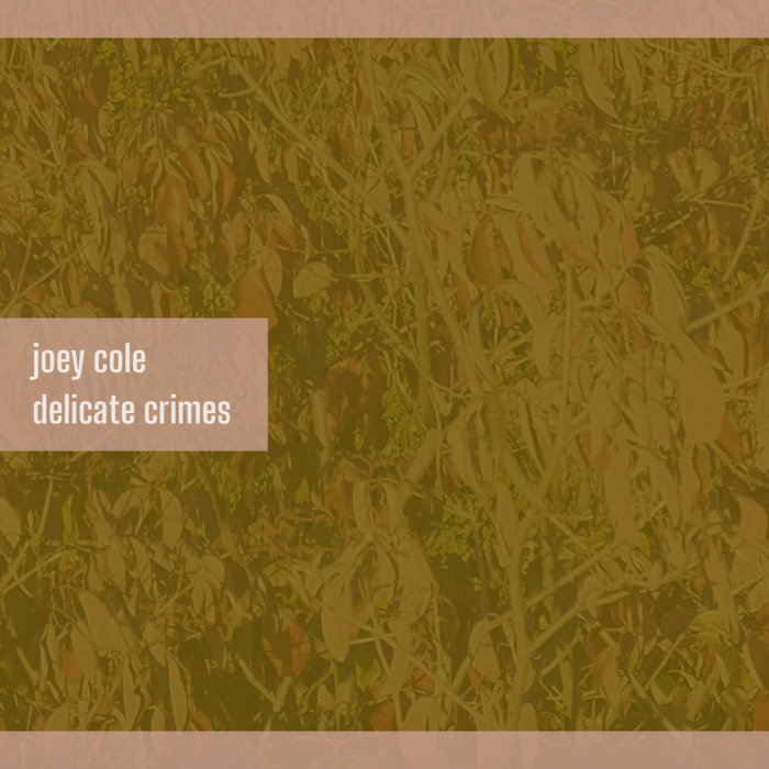 Delicate Crimes | Joey Cole