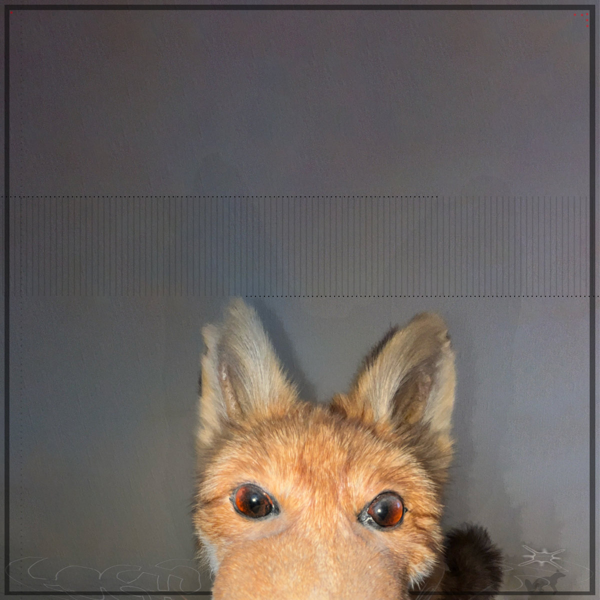 32 Permanent Adult Teeth | Fochs Koshka