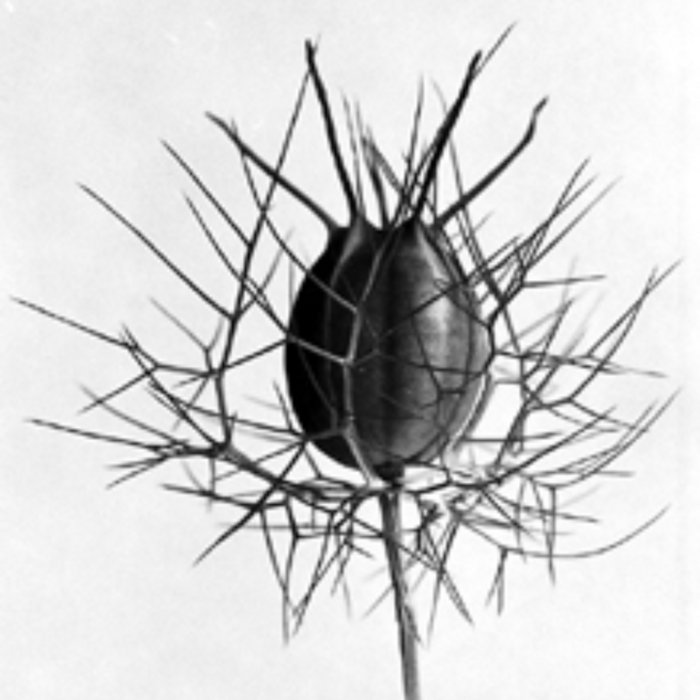 Opus 3 No1 | Jody Pou, voice; Emily Manzo, piano | SHSK'H