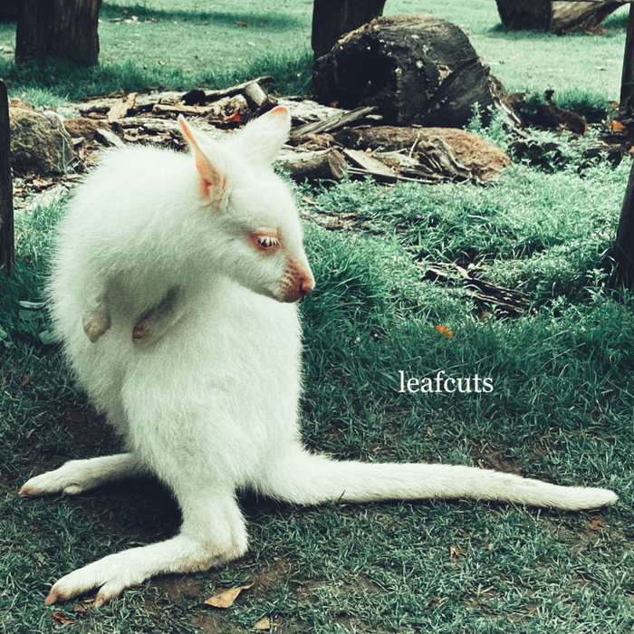 Absolute Green | Leafcuts | Secret Souls