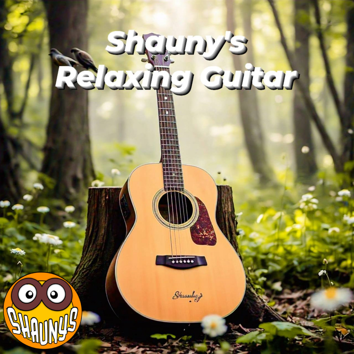 Shauny's Relaxing Guitar | Shauny Scanlon