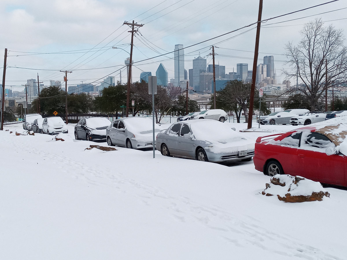 Lucasian Chair | Honeysplotch