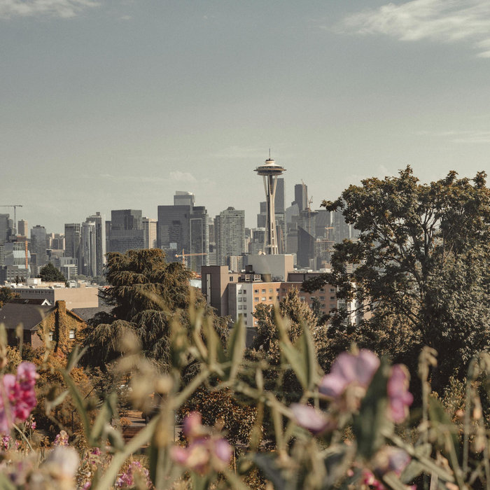 pnw spring '24 | smallstep