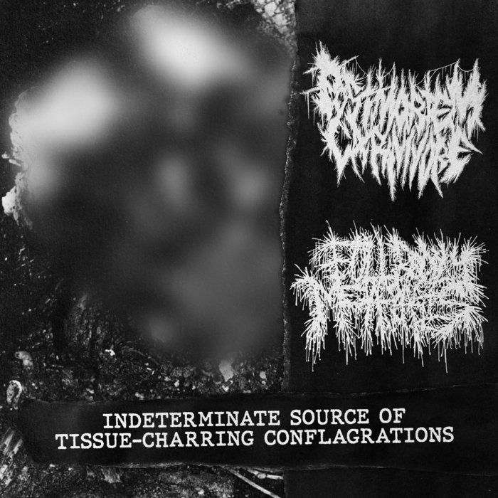 Indeterminate Source of Tissue-Charring Conflagrations (Split w/Full ...