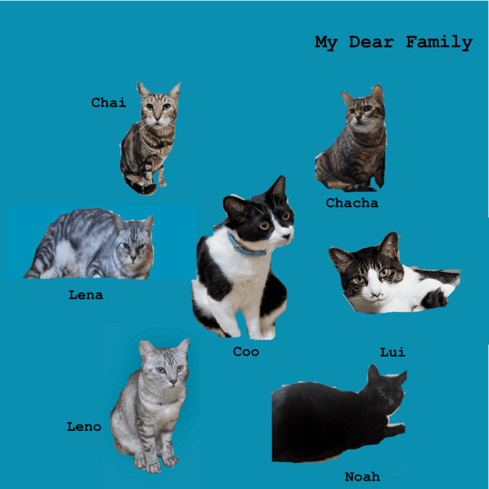 My Dear Family | 路傍の石