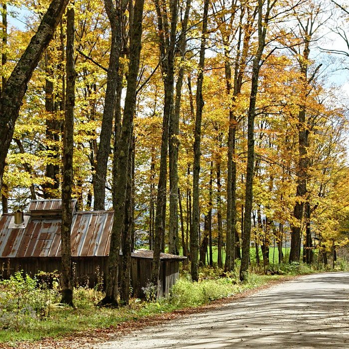 The All Night Singers | The All Night Singers