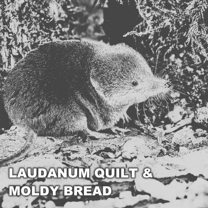 Laudanum Quilt / Moldy Bread | Laudanum Quilt & Moldy Bread | Laudanum ...