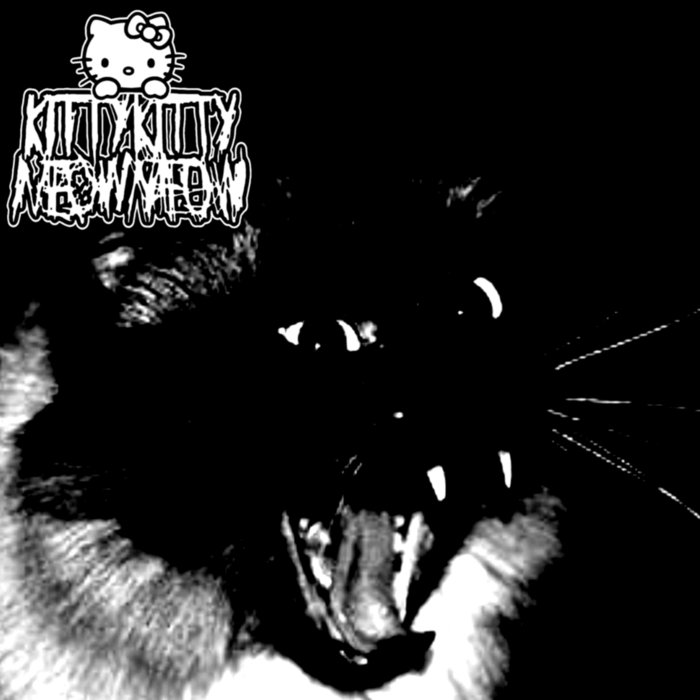 pyscho kittens | KITTY KITTY MEOW MEOW