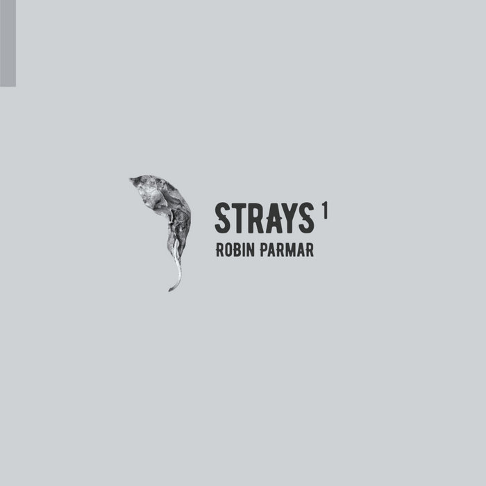 Strays 1 | Robin Parmar