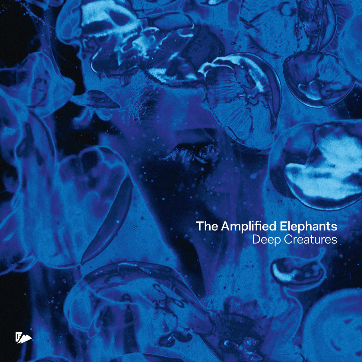 Deep Creatures | THE AMPLIFIED ELEPHANTS