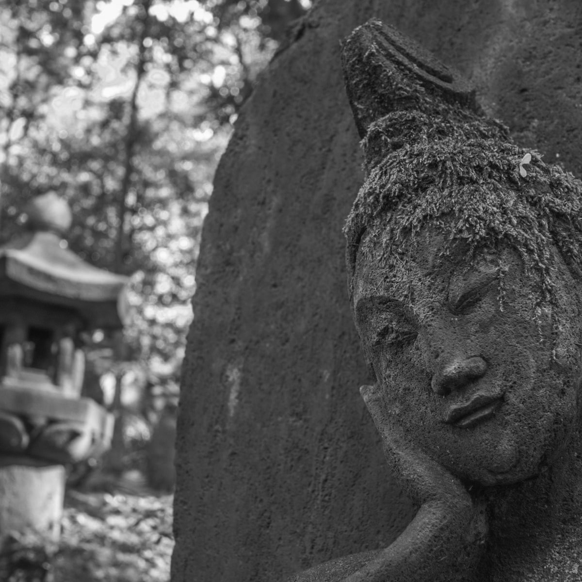 Sankhara-dukkha | Funedrona