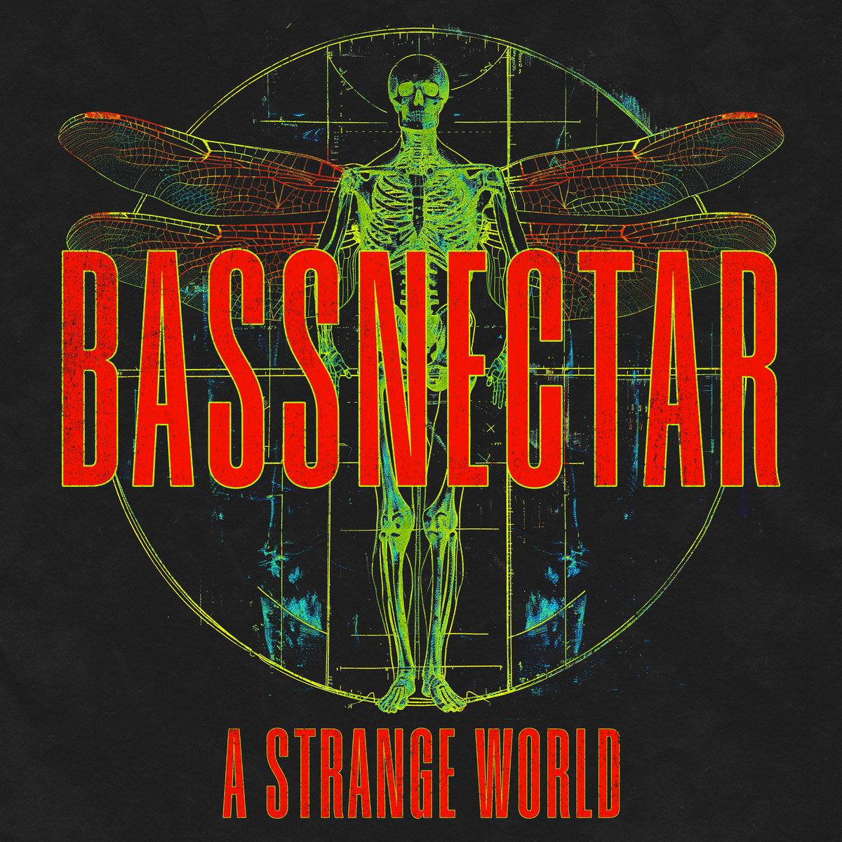 A Strange World | Bassnectar