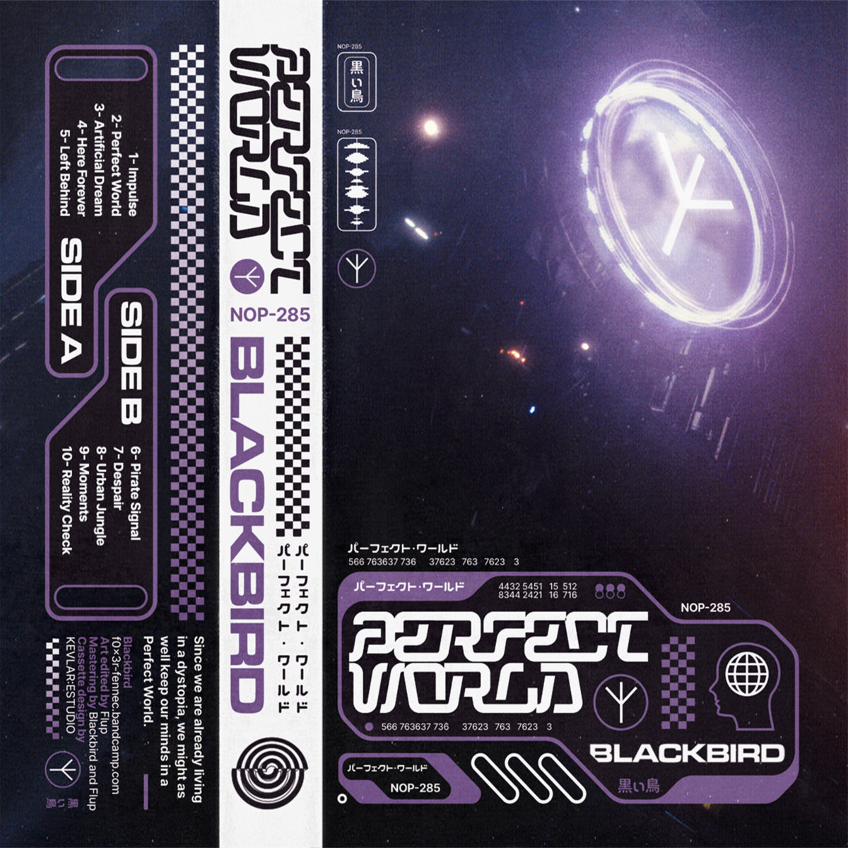 Perfect World | Blackbird | NO PROBLEMA TAPES