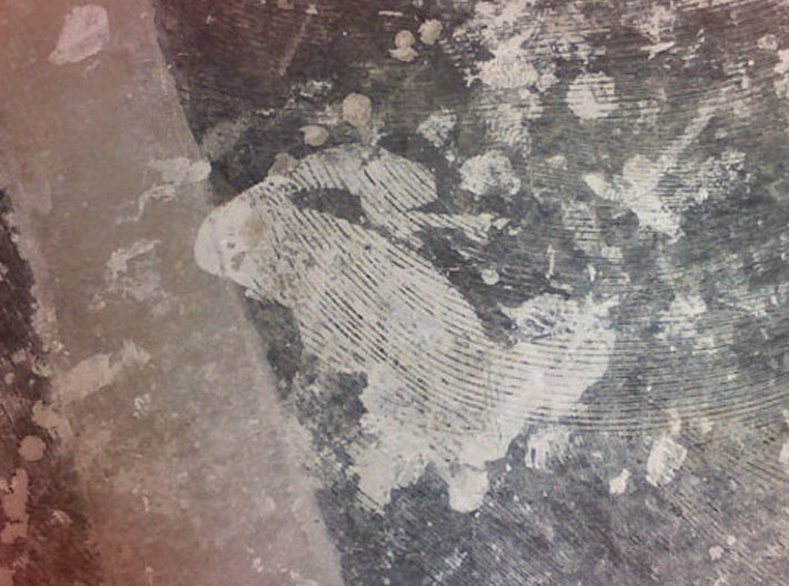 Rabbit Season | You Might, Rabbit.